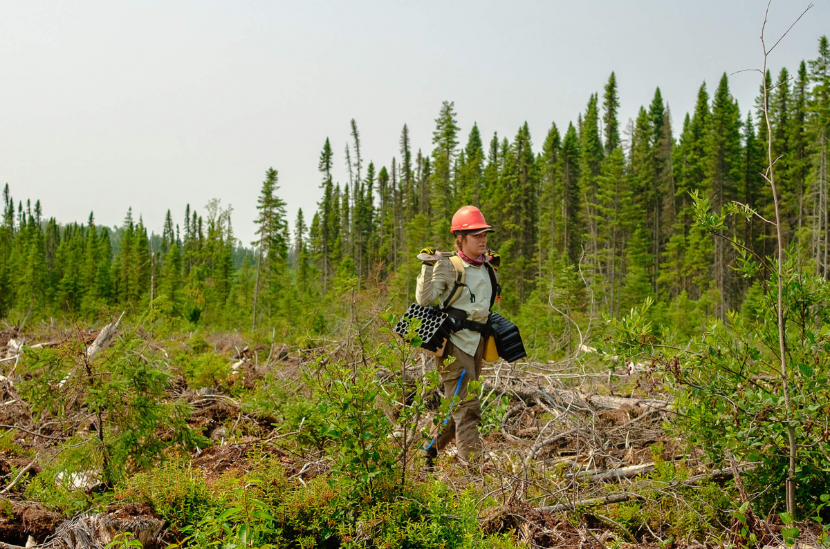 Camp 104 | Nouveau Projet