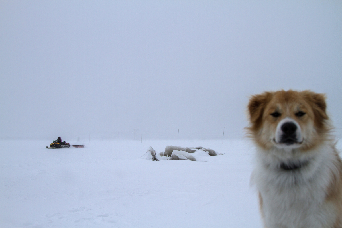Le territoire en sloche | Nouveau Projet